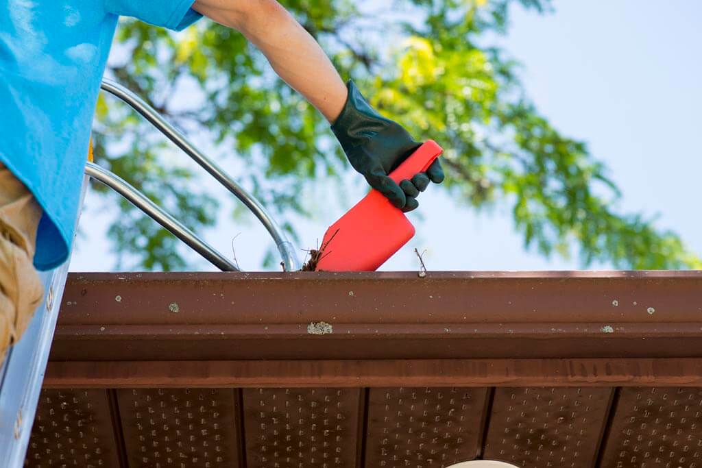 How to Clean Gutters the Right Way | Winducks